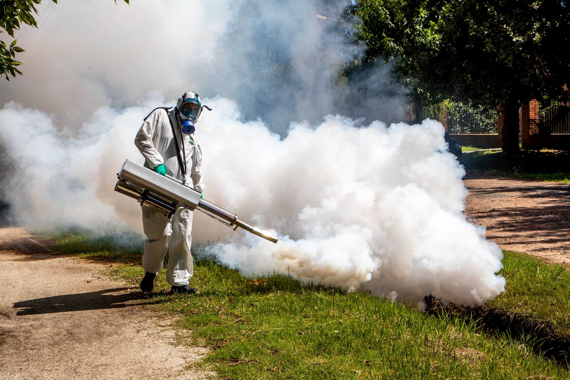 Fumigación: Sigue la Campaña contra el Dengue - Principios